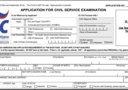 CS Form No. 100 (Revised September 2016) Archives - News-to-gov